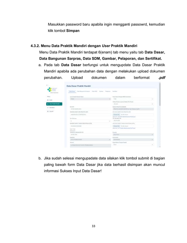 Petunjuk Teknis Data Fasyankes Online DFO | PDF