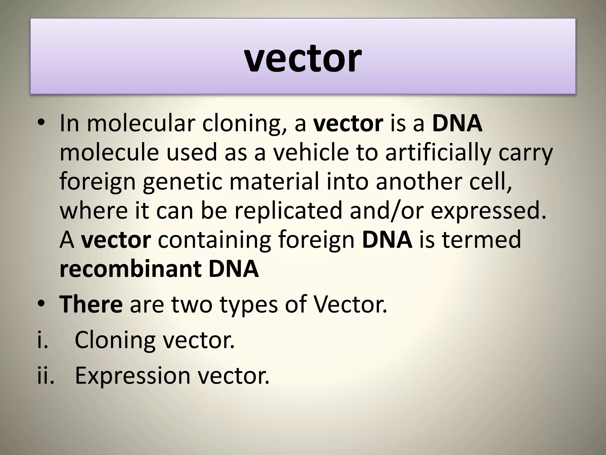 pET vector. Plasmid for Expression by T7 RNA Polymerase. | PPTX