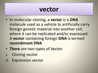 pET vector. Plasmid for Expression by T7 RNA Polymerase. | PPTX