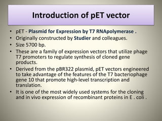 pET vector. Plasmid for Expression by T7 RNA Polymerase. | PPTX