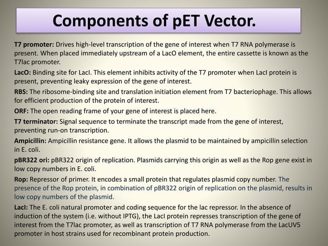pET vector. Plasmid for Expression by T7 RNA Polymerase. | PPTX ...