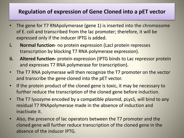 pET vector. Plasmid for Expression by T7 RNA Polymerase. | PPTX ...