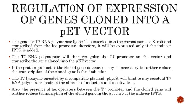 pET vectors | PPTX