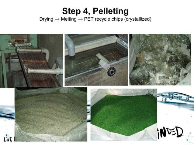 Pet webbing making process | PPTX