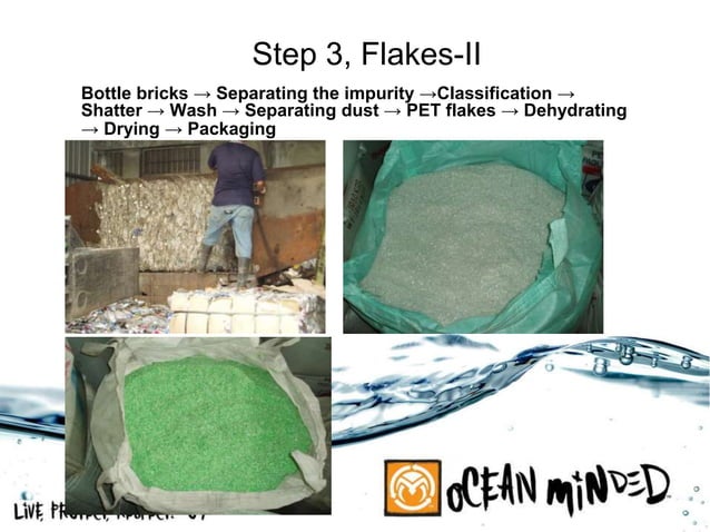 Pet webbing making process | PPT