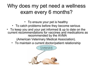 Pet wellness month | PPT