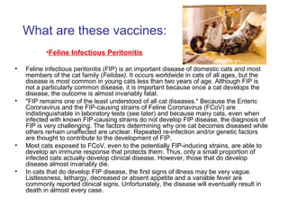 Pet wellness month | PPT