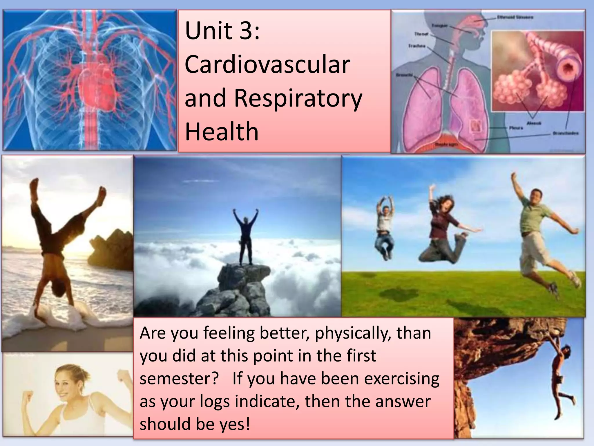 Pe Cardiovascular System health class connect version | PPTX