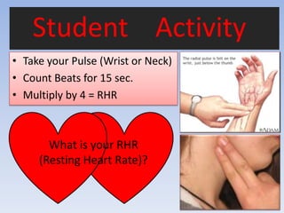 Pe Cardiovascular System health class connect version | PPTX