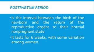 Peurperium | PPT