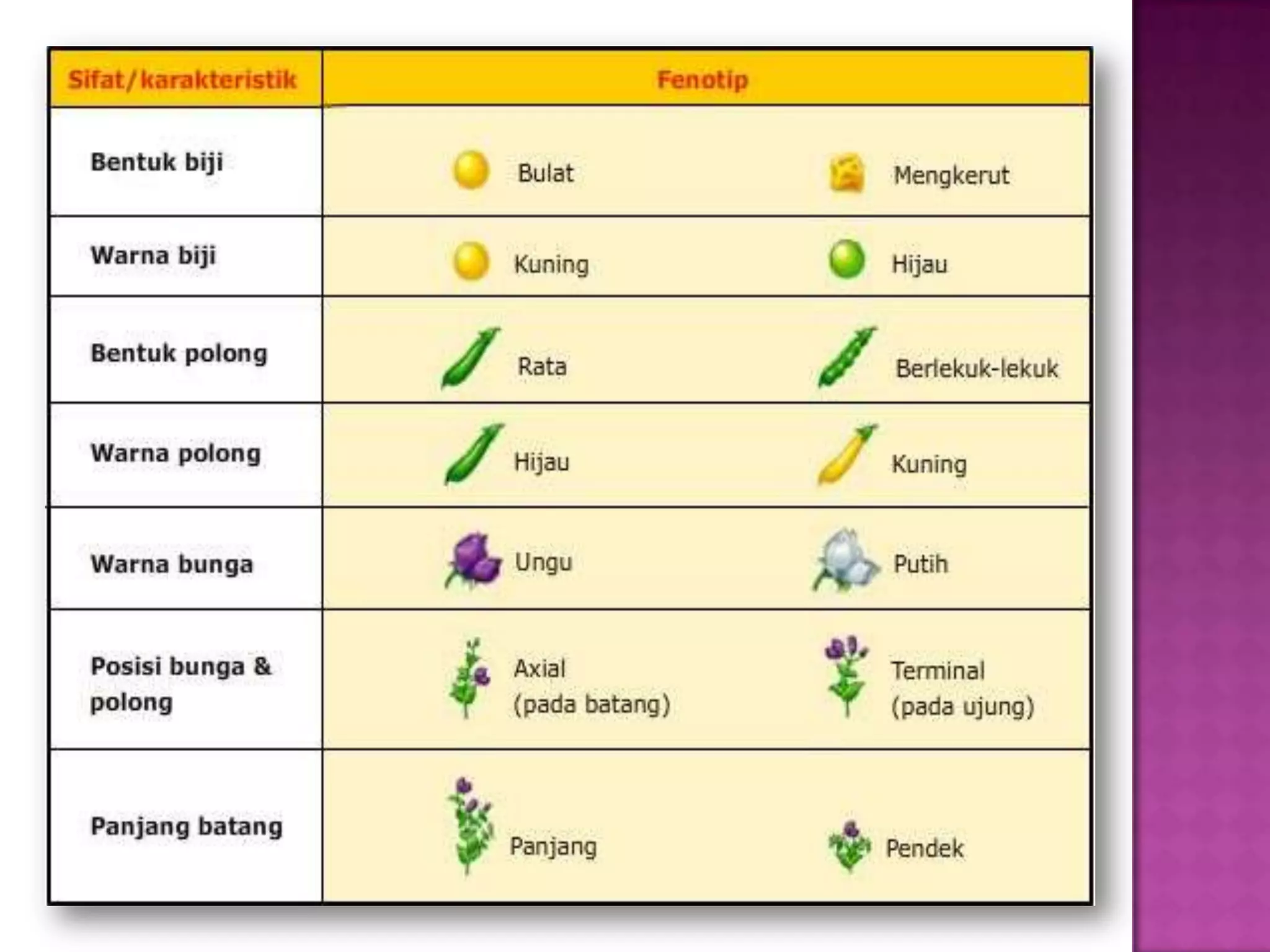 Pewarisan sifat | PPTX