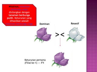 Pewarisan sifat | PPTX