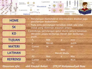Pewarisan sifat | PPT