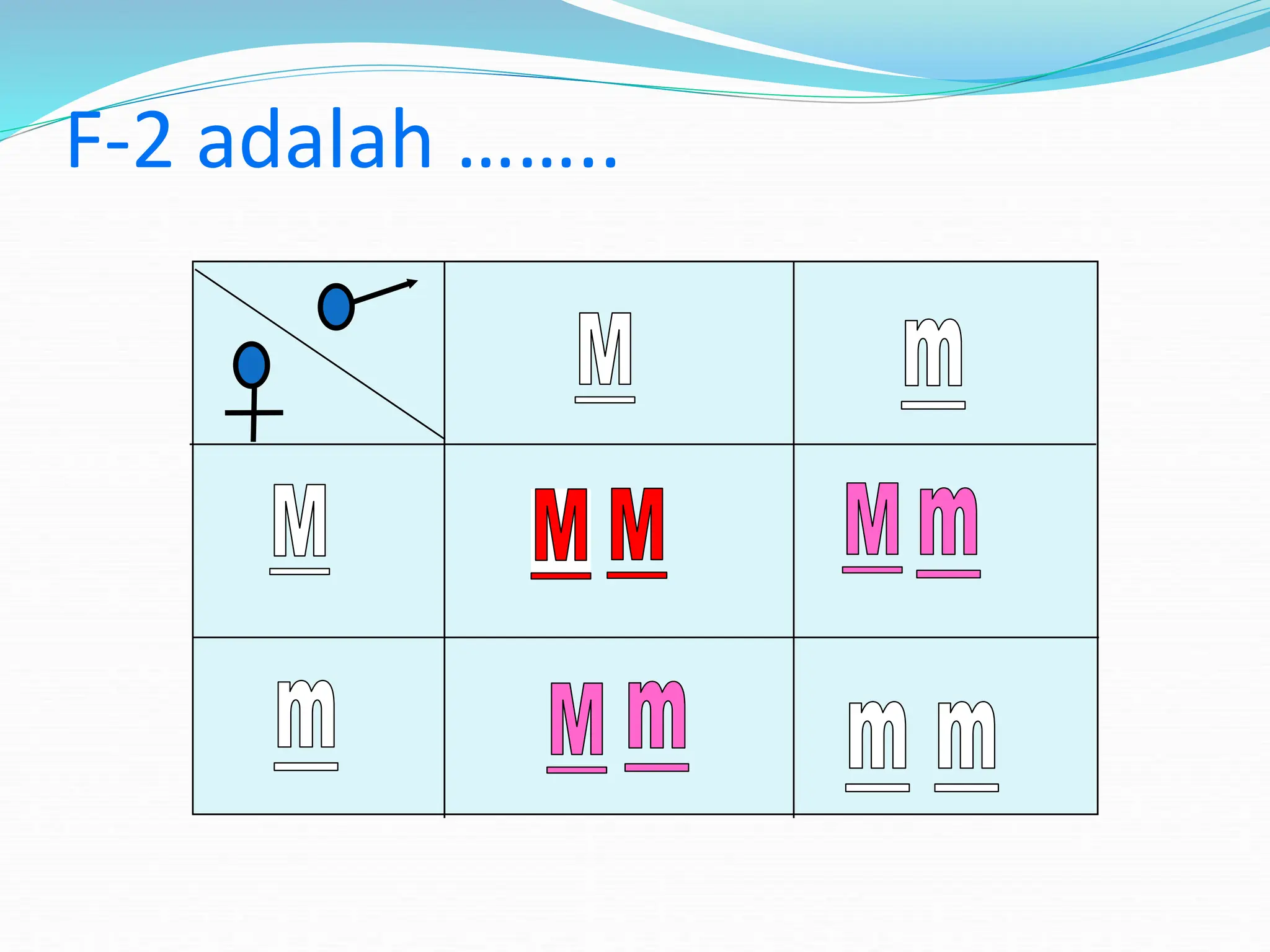 PEWARISAN SIFAT pada makhluk hidup materi kelas 9 | PPT