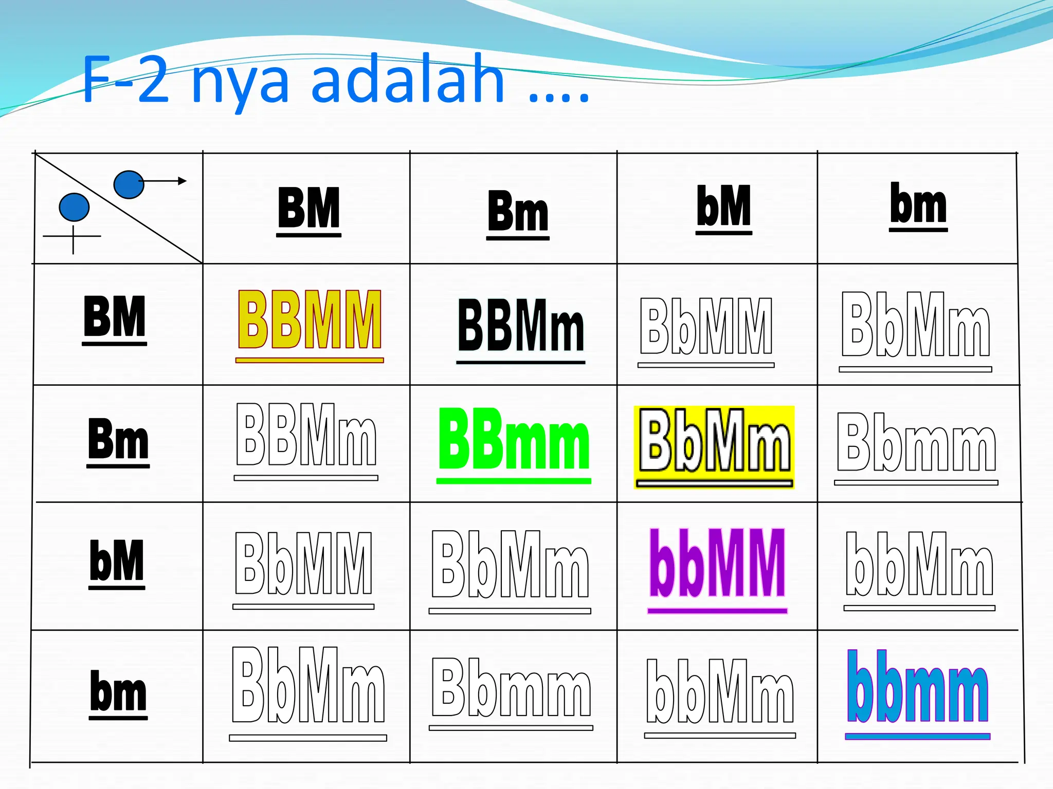 PEWARISAN SIFAT pada makhluk hidup materi kelas 9 | PPT