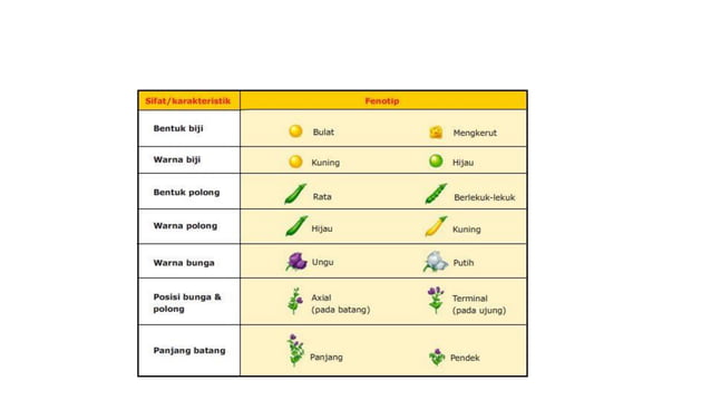 PEWARISAN SIFAT, hukum Mendel, golongan darah manusia | PPT