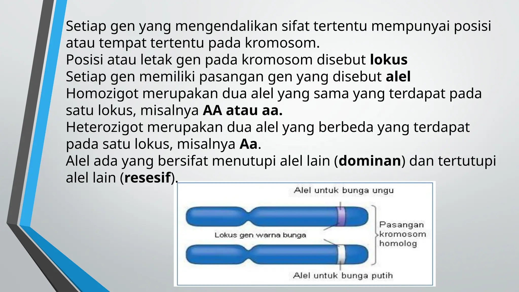 PEWARISAN SIFAT latihan soal smp sukses tka.pptx