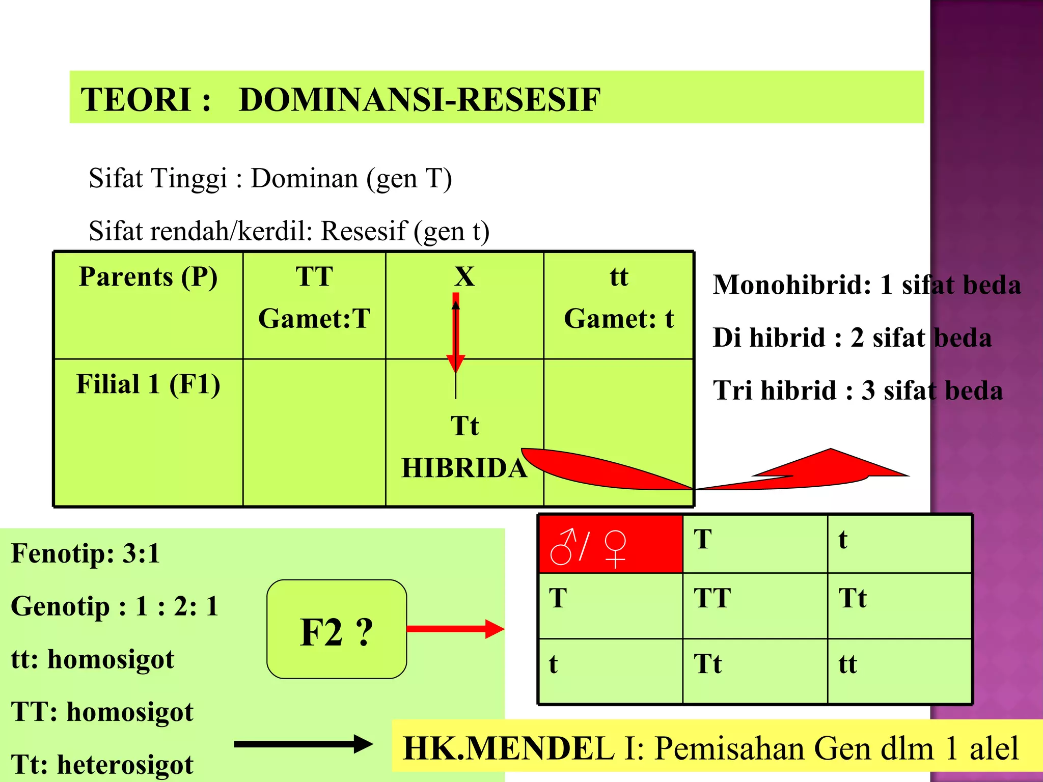 Pewarisan sifat hk mendel | PPT