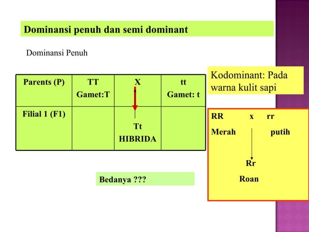 Pewarisan sifat hk mendel | PPT