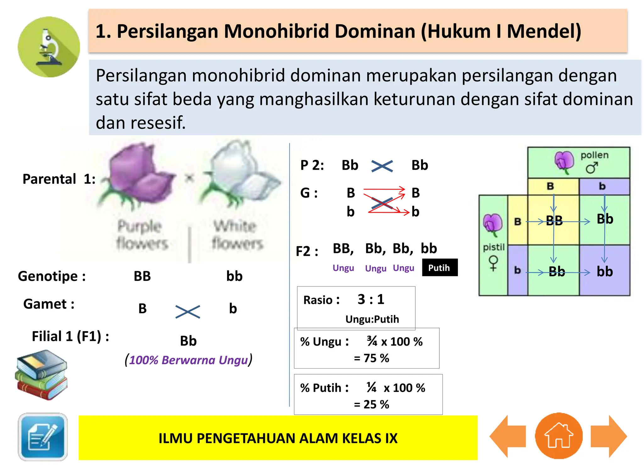 MATERI POWER POINT PEWARISAN SIFAT KELAS 9 .pptx