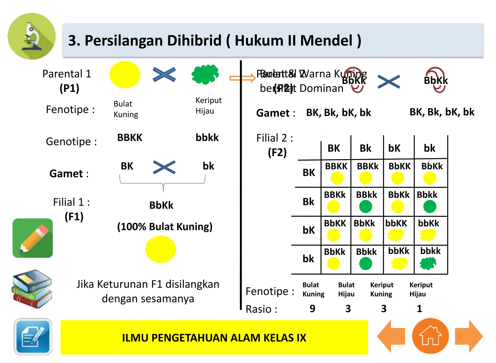 MATERI POWER POINT PEWARISAN SIFAT KELAS 9 .pptx