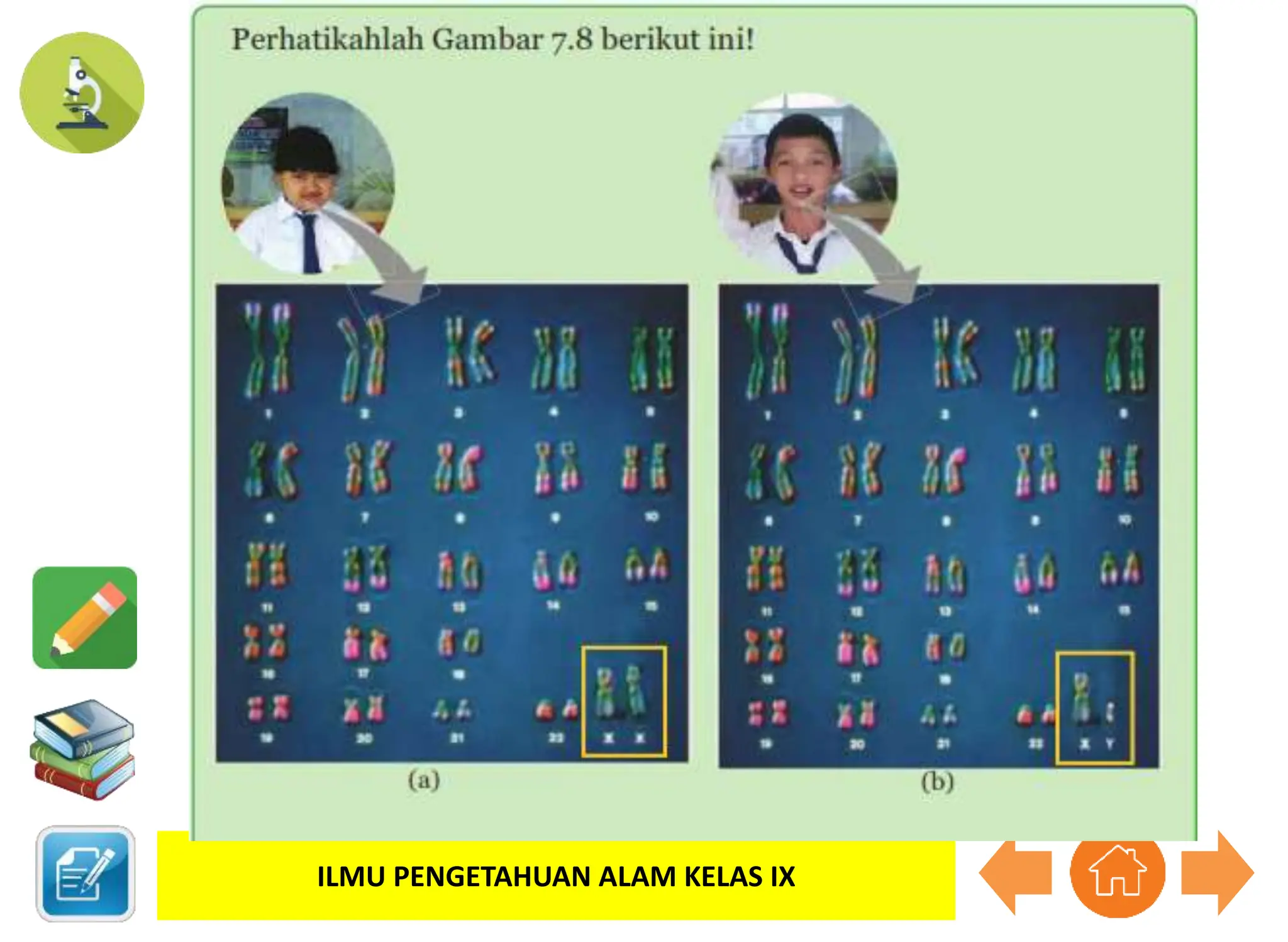 MATERI POWER POINT PEWARISAN SIFAT KELAS 9 .pptx