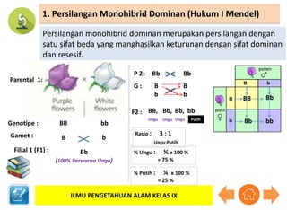 MATERI POWER POINT PEWARISAN SIFAT KELAS 9 .pptx