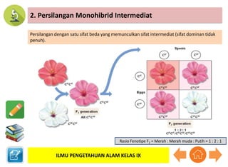 MATERI POWER POINT PEWARISAN SIFAT KELAS 9 .pptx
