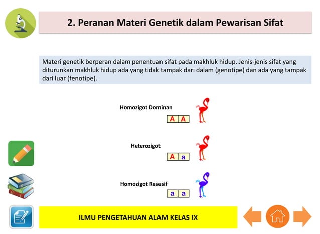 MATERI POWER POINT PEWARISAN SIFAT KELAS 9 .pptx