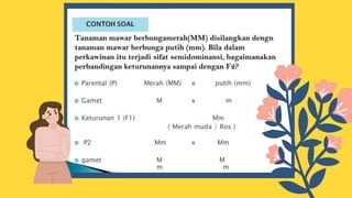 Materi pewarisan sifat kelas 9 semester 1 | PPTX