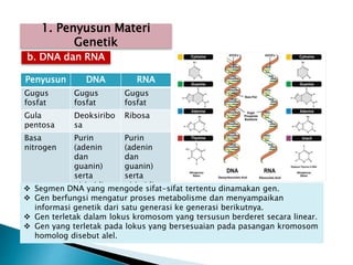 PEWARISAN SIFAT MANUSIA KELAS 9.pptx