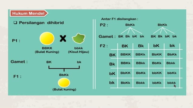 pewarisan sifat mendel 1 dan 2 (1).pptx