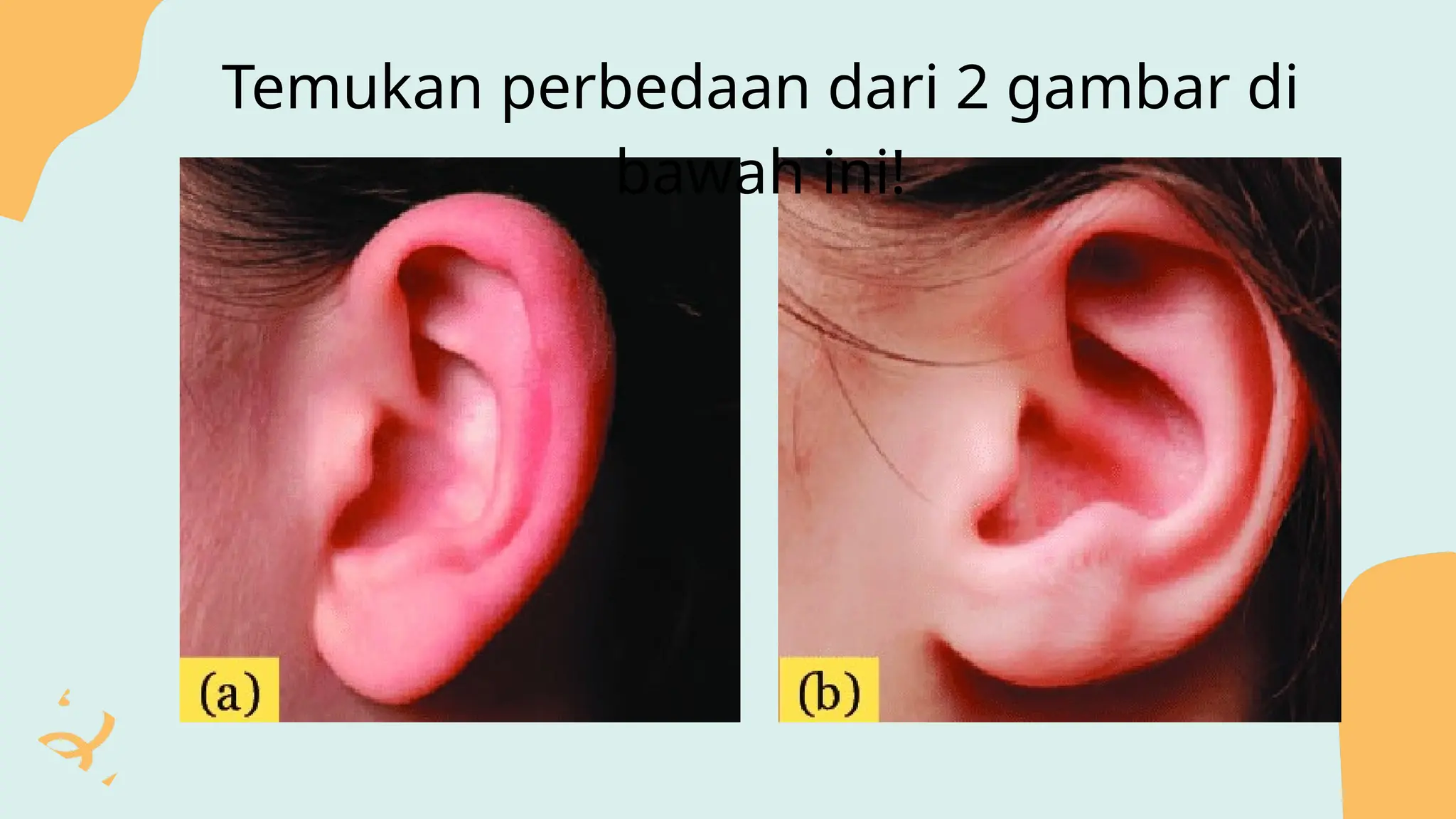 PEWARISAN SIFAT PADA MAKHLUK HIDUP (1).pptx