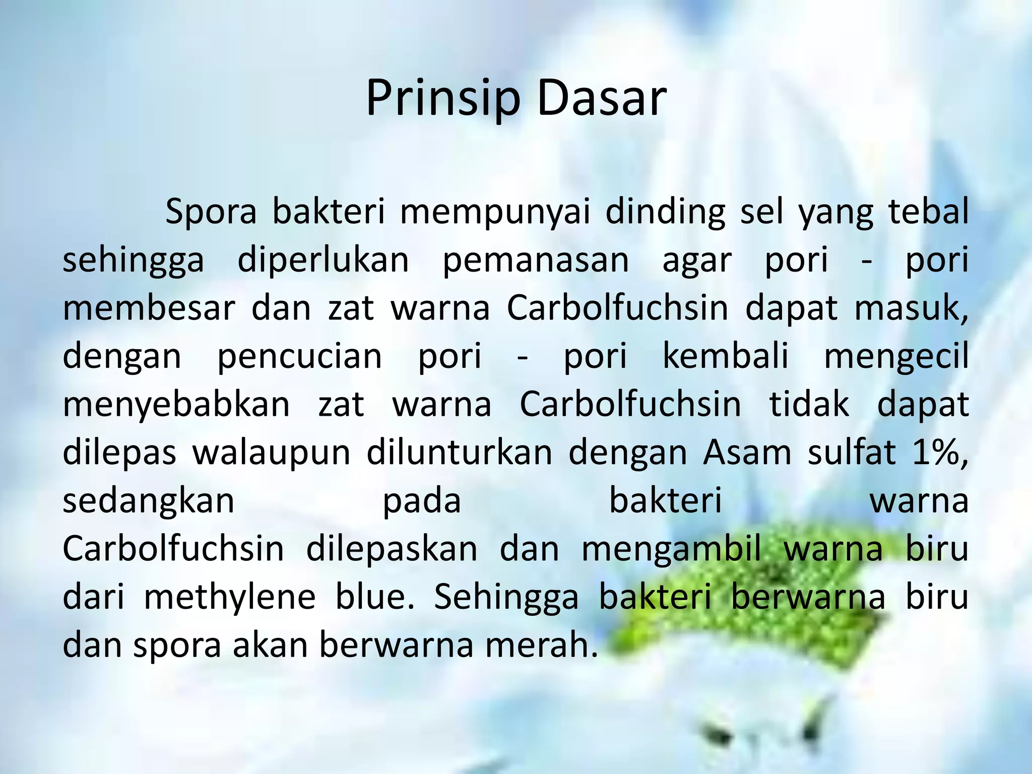 Pewarnaan Spora Metode Klein | PPTX