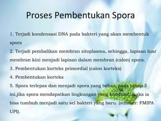 Pewarnaan Spora Metode Klein | PPT