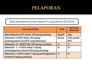 Pewarnaan bakteri | PPTX