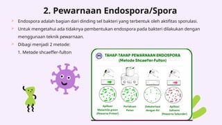 pewarnaan bakteri mikrobiologi kelompok 2 | PPTX