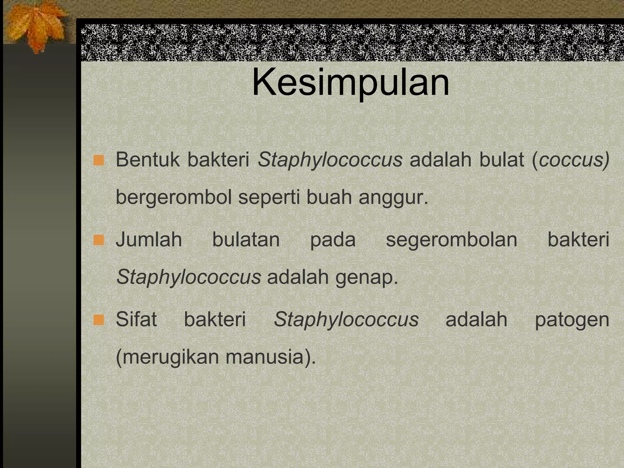 Pewarnaan bakteri staphylococcus | PPTX