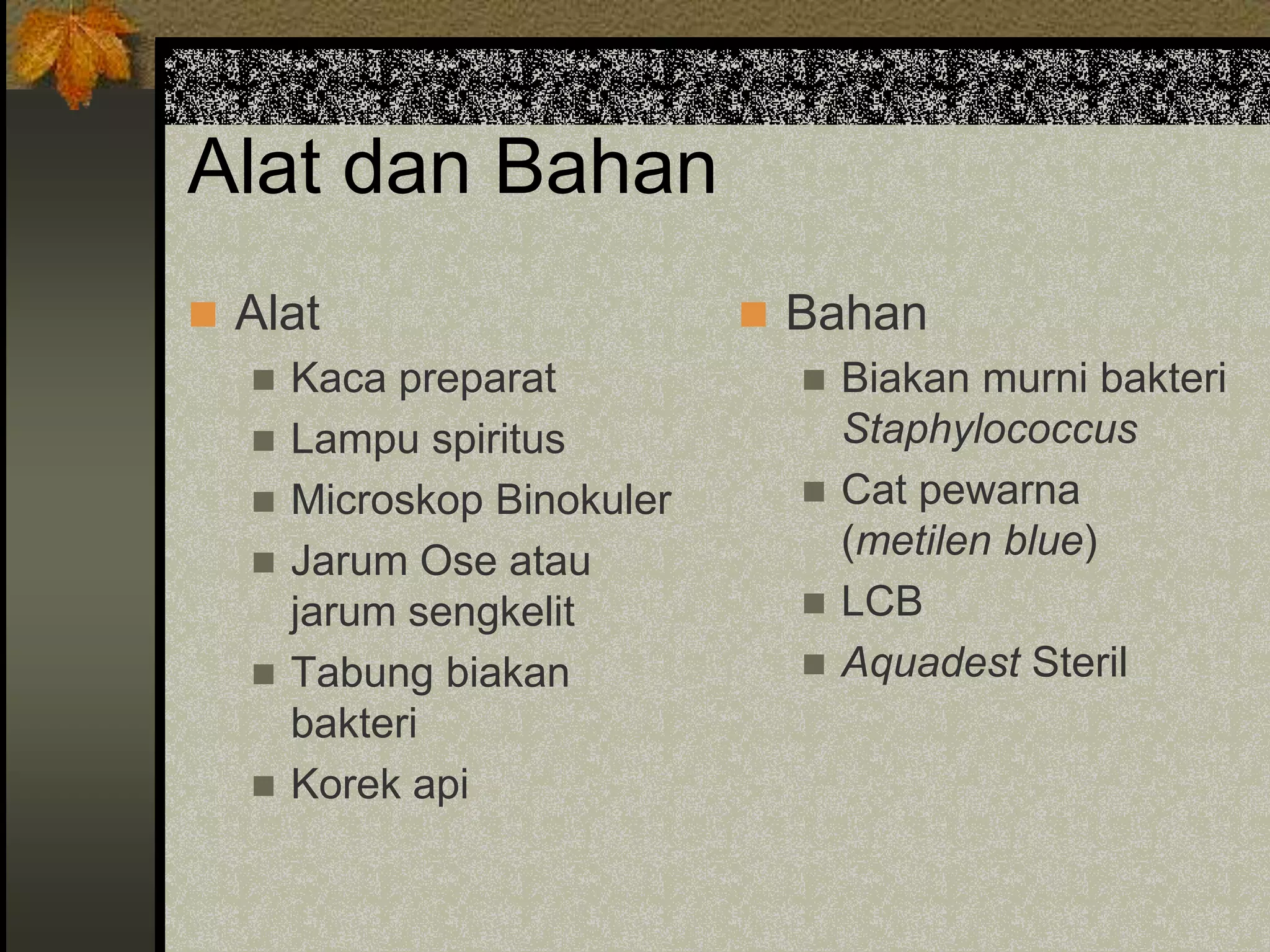 Pewarnaan bakteri staphylococcus | PPTX
