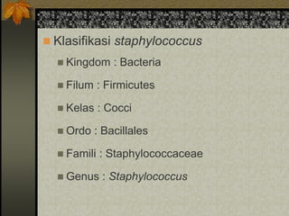 Pewarnaan bakteri staphylococcus | PPTX