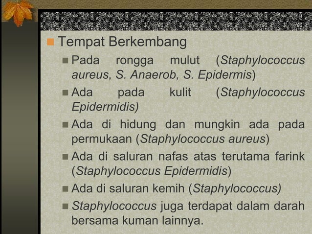 Pewarnaan bakteri staphylococcus | PPT