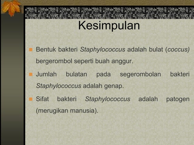 Pewarnaan bakteri staphylococcus | PPT