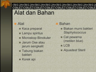 Pewarnaan bakteri staphylococcus | PPTX