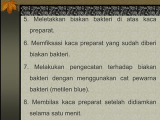 Pewarnaan bakteri staphylococcus | PPTX