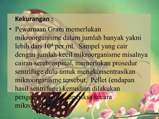 Pewarnaan Gram Metode Preston-Morrel (Gram I) | PPTX