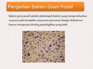 Pewarnaan Gram Metode Preston-Morrel (Gram I) | PPTX