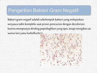 Pewarnaan Gram Metode Preston-Morrel (Gram I) | PPTX