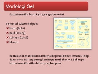 Pewarnaan Gram Metode Preston-Morrel (Gram I) | PPTX