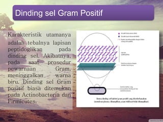 Pewarnaan Gram Metode Preston-Morrel (Gram I) | PPTX