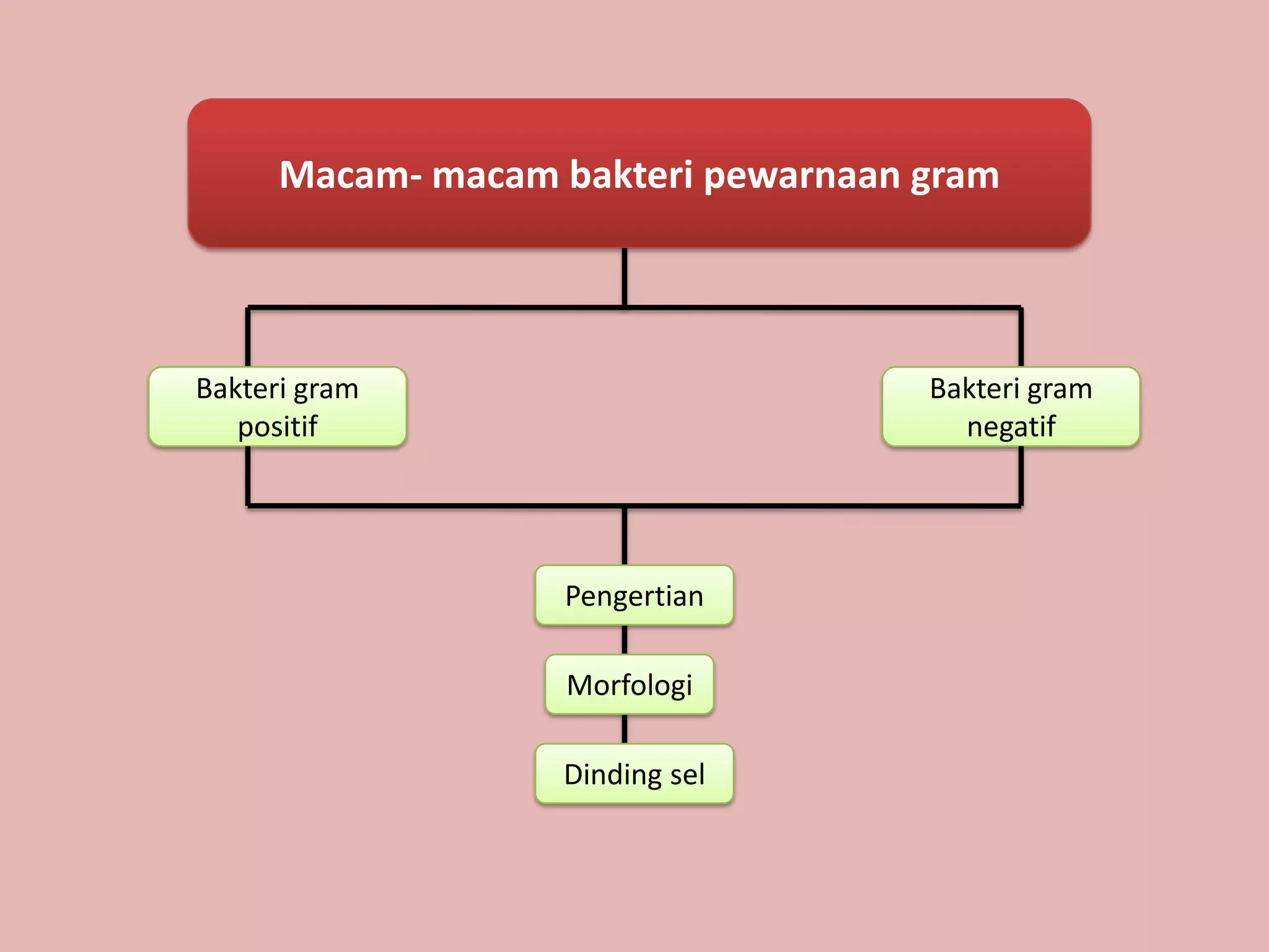 Pewarnaan gram | PPTX